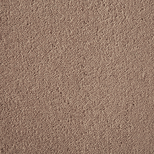 Cream or Natural Archives - Westex Flooring