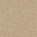 Ultima Twist Carpet - Westex Flooring